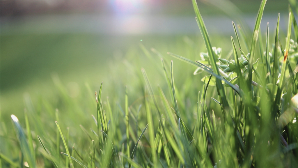 Episode 6: Reinders - We Supply America